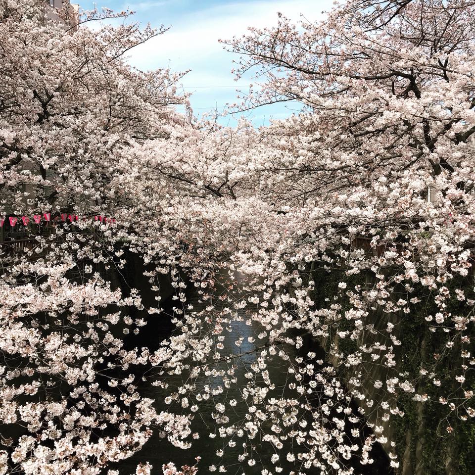 Obey Yourself | Be Minority -マイノリティでいこう-